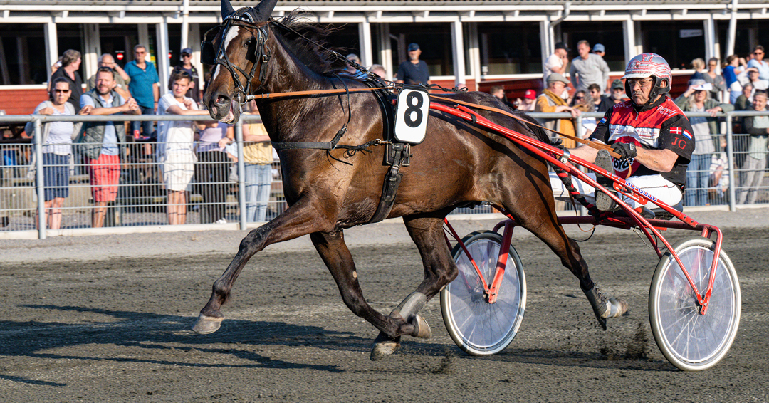 Nyt fra Hesteejerforeningen