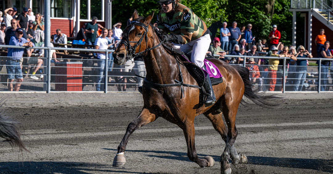 Good Luck til Annika Schou-Lund I DM for montérytterne