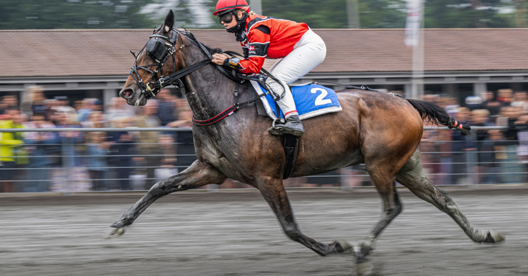 Ryttermatch d. 24. juni 2025