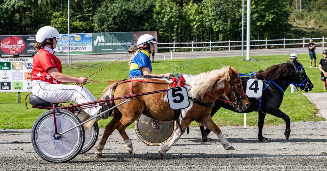 Ponyklubben holder prøveløb tirsdag aften